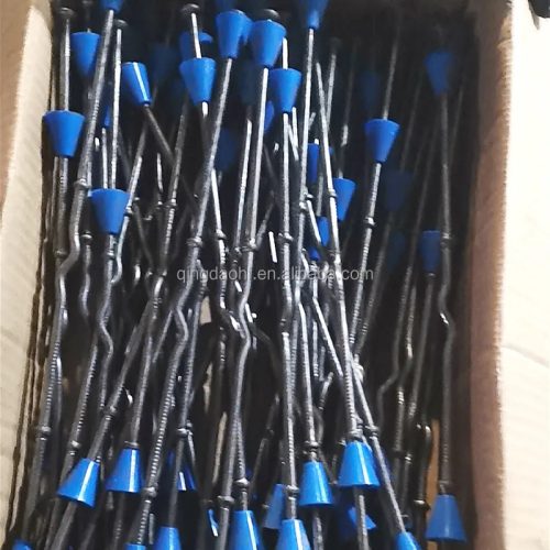 Short and Long End Snap Ties with Plastic Cone