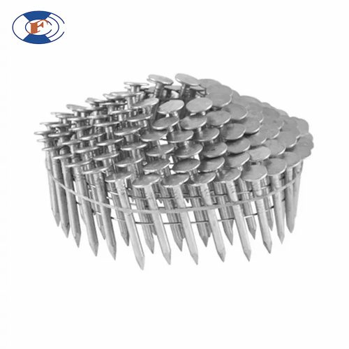 Stainless Steel Coil Nail